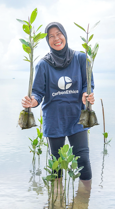 Carbon Calculator | CarbonEthics